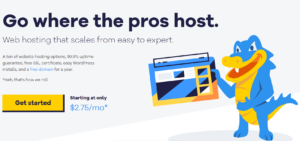 HostGator Hosting Review 2021 (Speed Test & Real User Review)